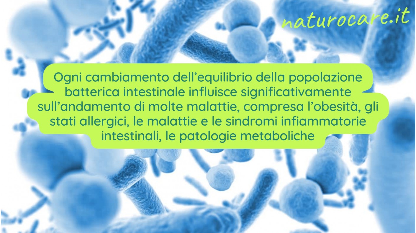 Microbiota è la flora batterica, fungina, virale, parassiti e ospiti ...